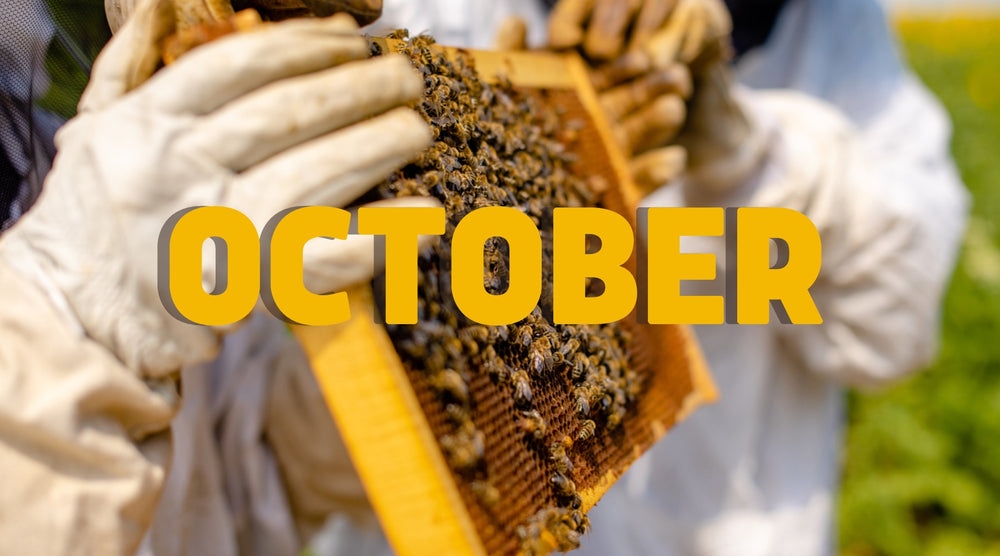 Beekeeping Calendar – Harvest Lane Honey