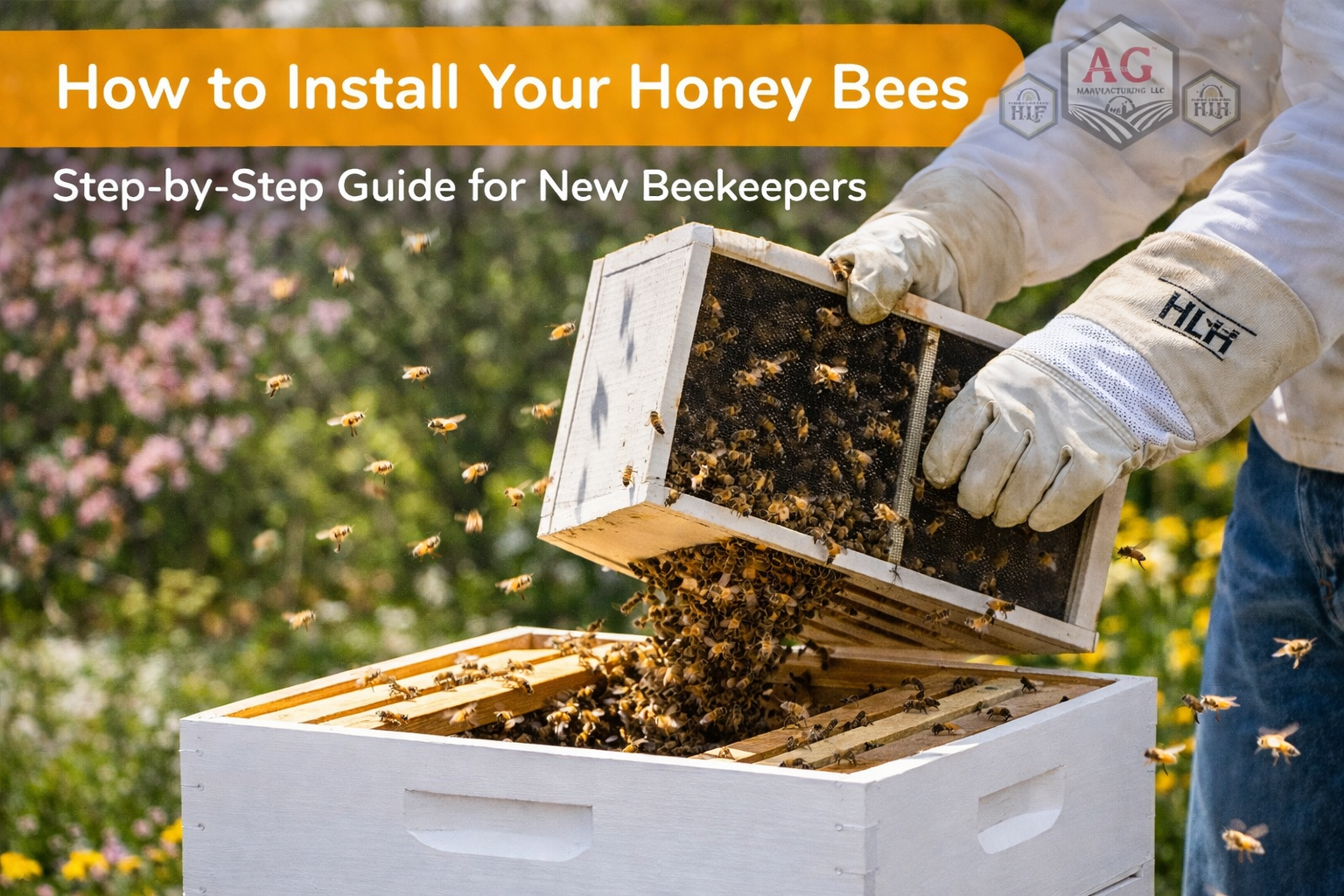 How to Install Your Honey Bees: Step-by-Step Guide for New Beekeepers ...
