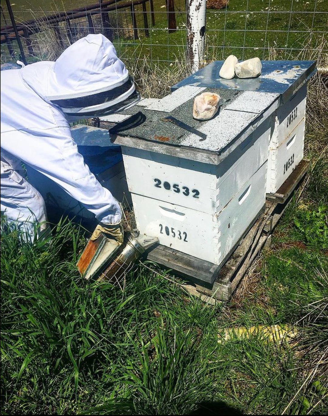 Hive Checklist for the Changing Seasons