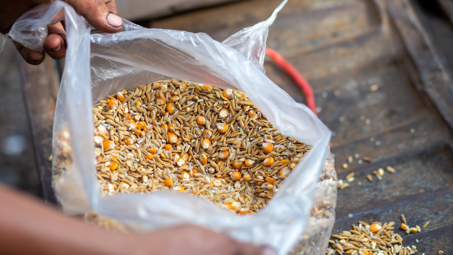 Harvest Lane – Beekeeping & Small Animal Supplies Made in the USA ...