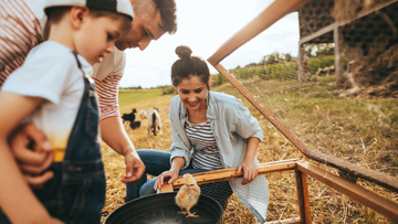 Harvest Lane – Beekeeping & Small Animal Supplies Made in the USA ...