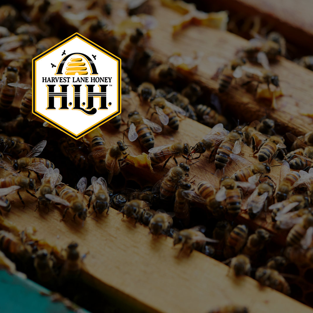 Harvest Lane – Beekeeping & Small Animal Supplies Made in the USA ...