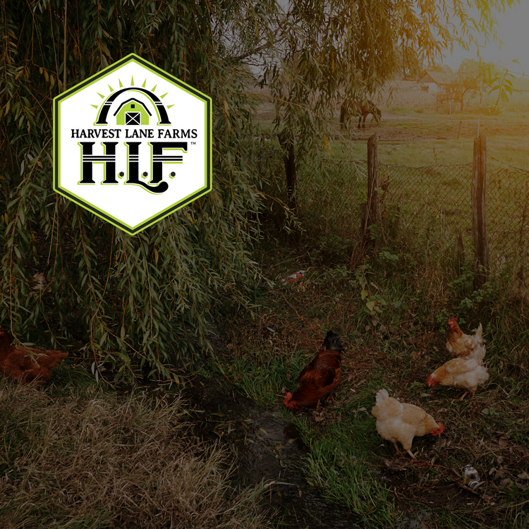 Harvest Lane – Beekeeping & Small Animal Supplies Made in the USA ...