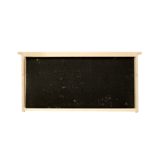 Deep Assembled Frame with Foundation in Natural or Black (1 or 5 pk ...